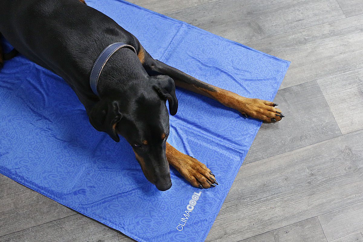 Non Toxic Cool Mat For Dogs Dog Cooling Mat, Paw Frost Mat For Cats ...