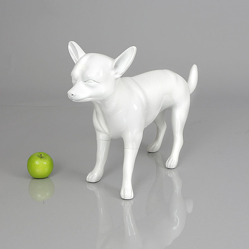 Beatrice - Chihuahua Mannequin | George Barclay