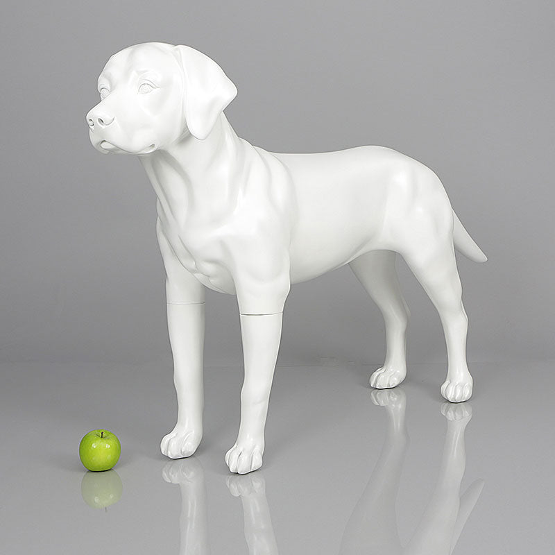 Victoria - Labrador Mannequin | George Barclay
