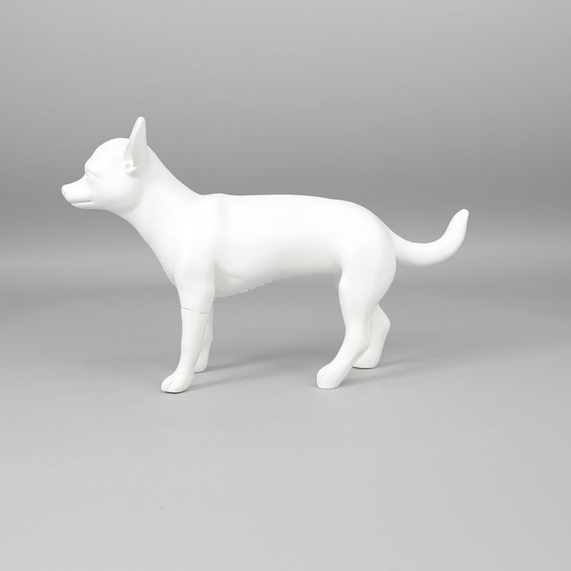 Beatrice - Chihuahua Mannequin | George Barclay