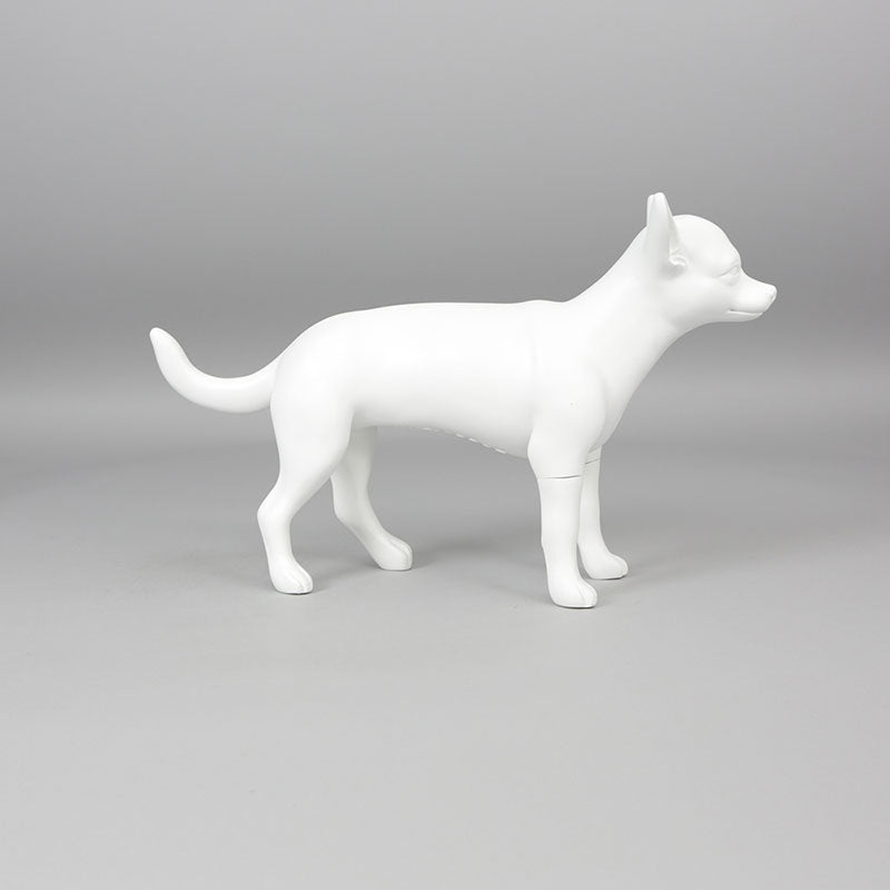 Beatrice - Chihuahua Mannequin | George Barclay