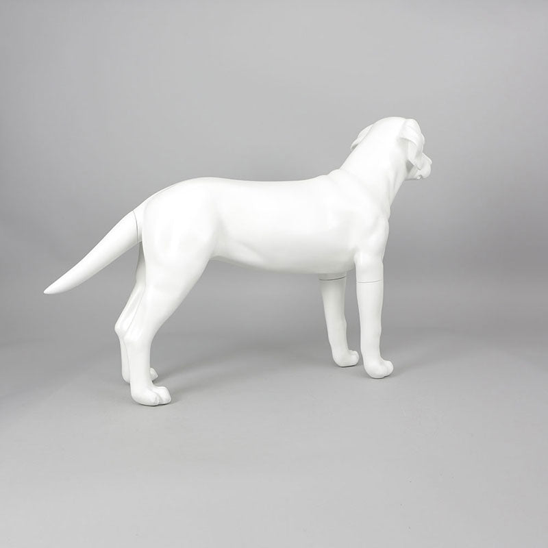 Victoria - Labrador Mannequin | George Barclay