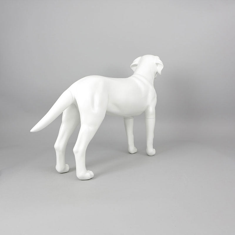 Victoria - Labrador Mannequin | George Barclay