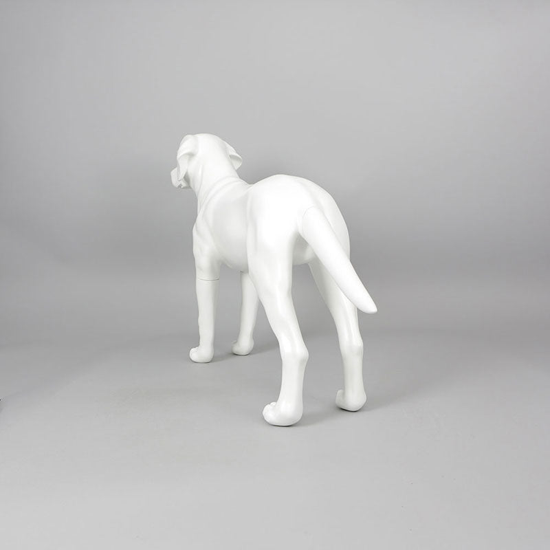 Victoria - Labrador Mannequin | George Barclay