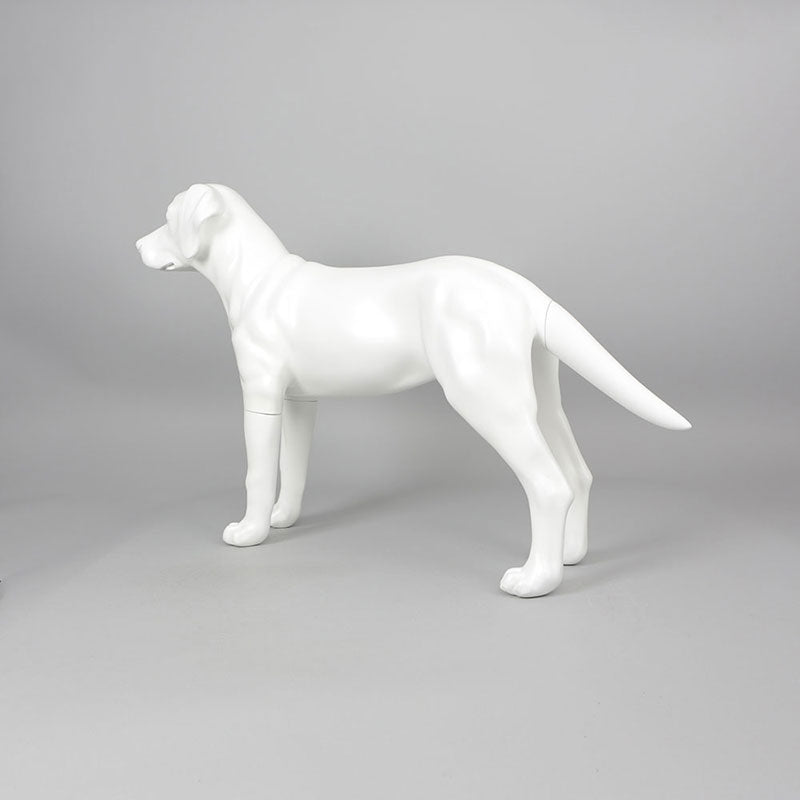 Victoria - Labrador Mannequin | George Barclay