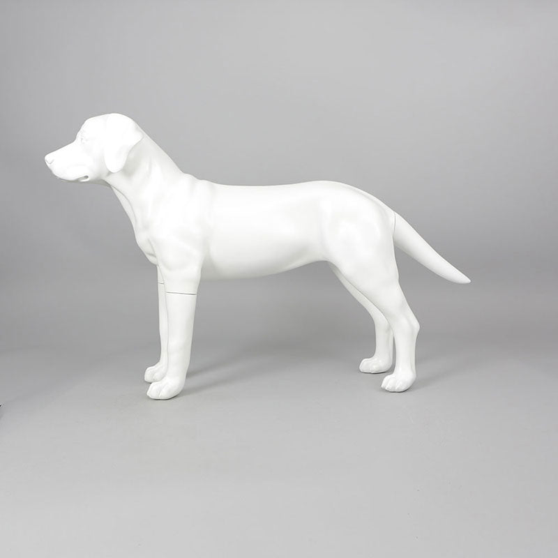 Victoria - Labrador Mannequin | George Barclay