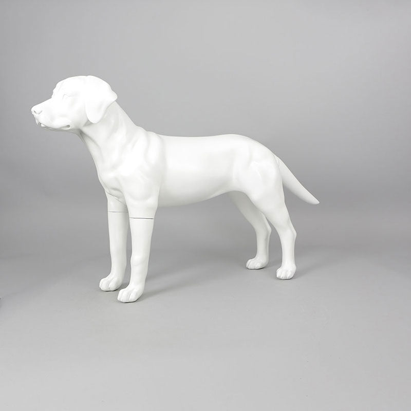 Victoria - Labrador Mannequin | George Barclay