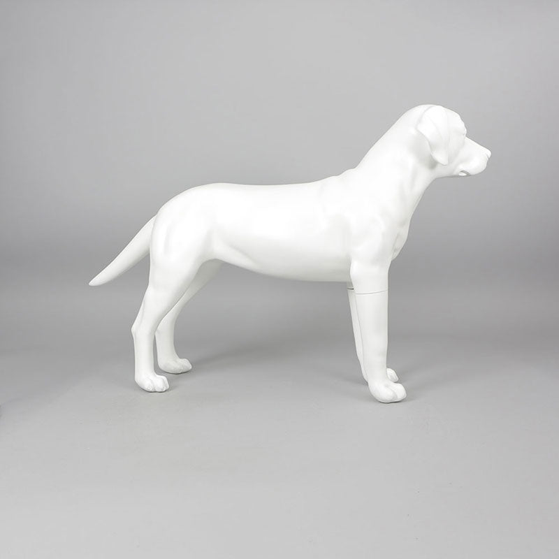Victoria - Labrador Mannequin | George Barclay