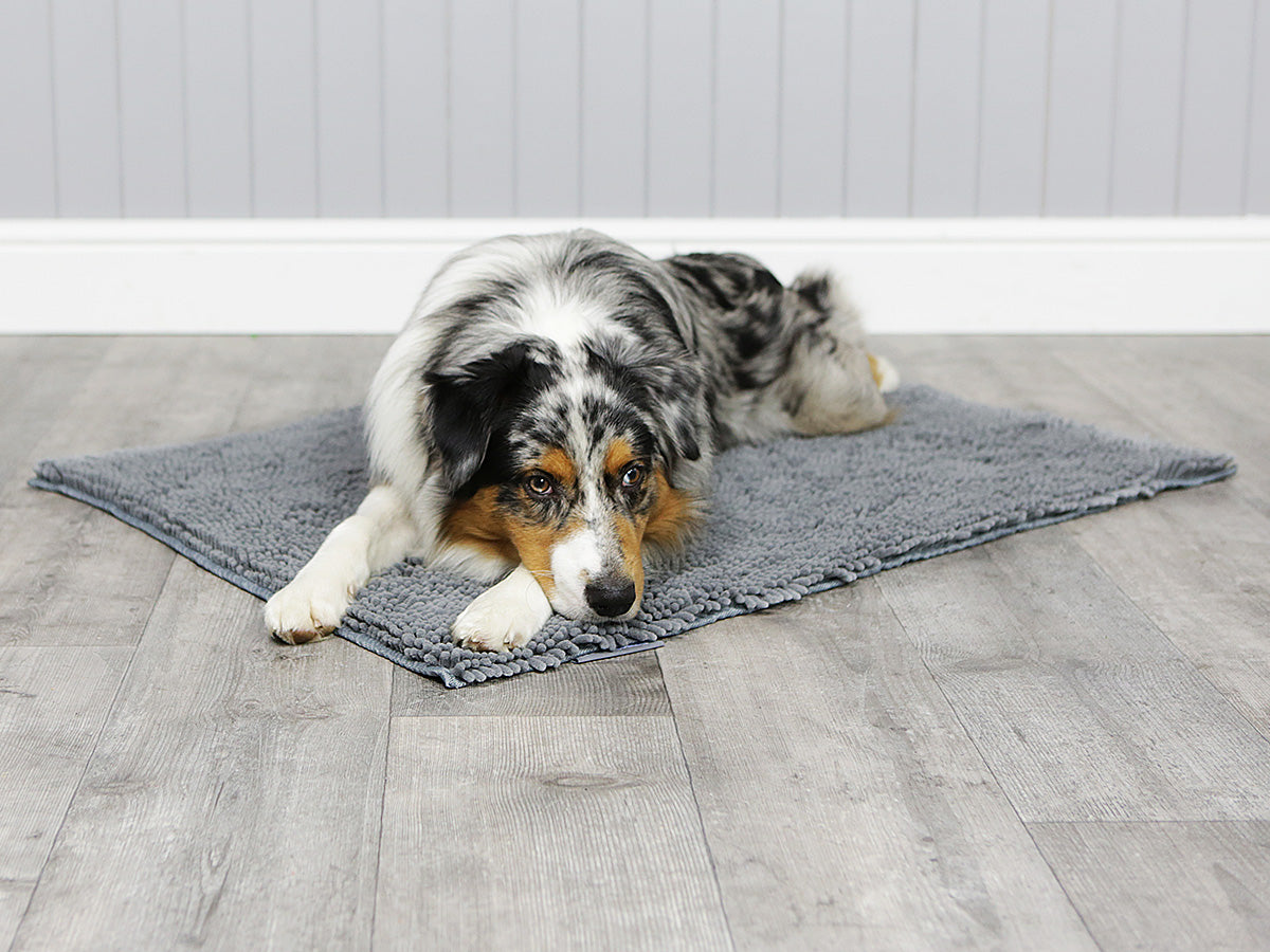 MuttMOP® Deluxe Dry Mat For Large Sized Dogs | George Barclay